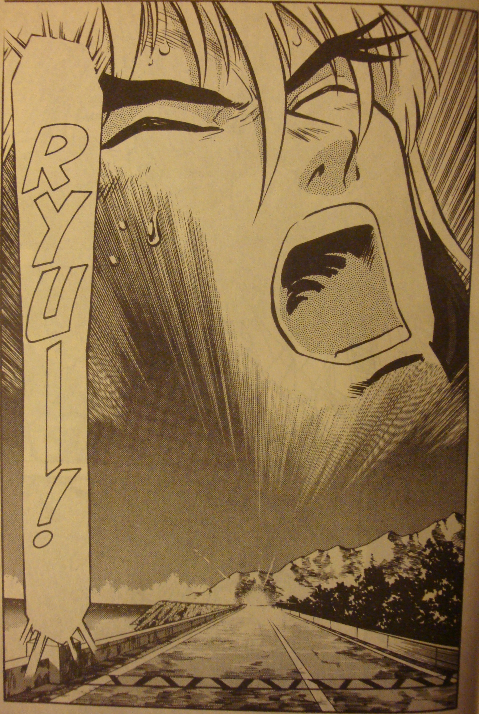 C-Cubed Comic Review: “Street Fighter II: The Animated Movie, The Comic ...